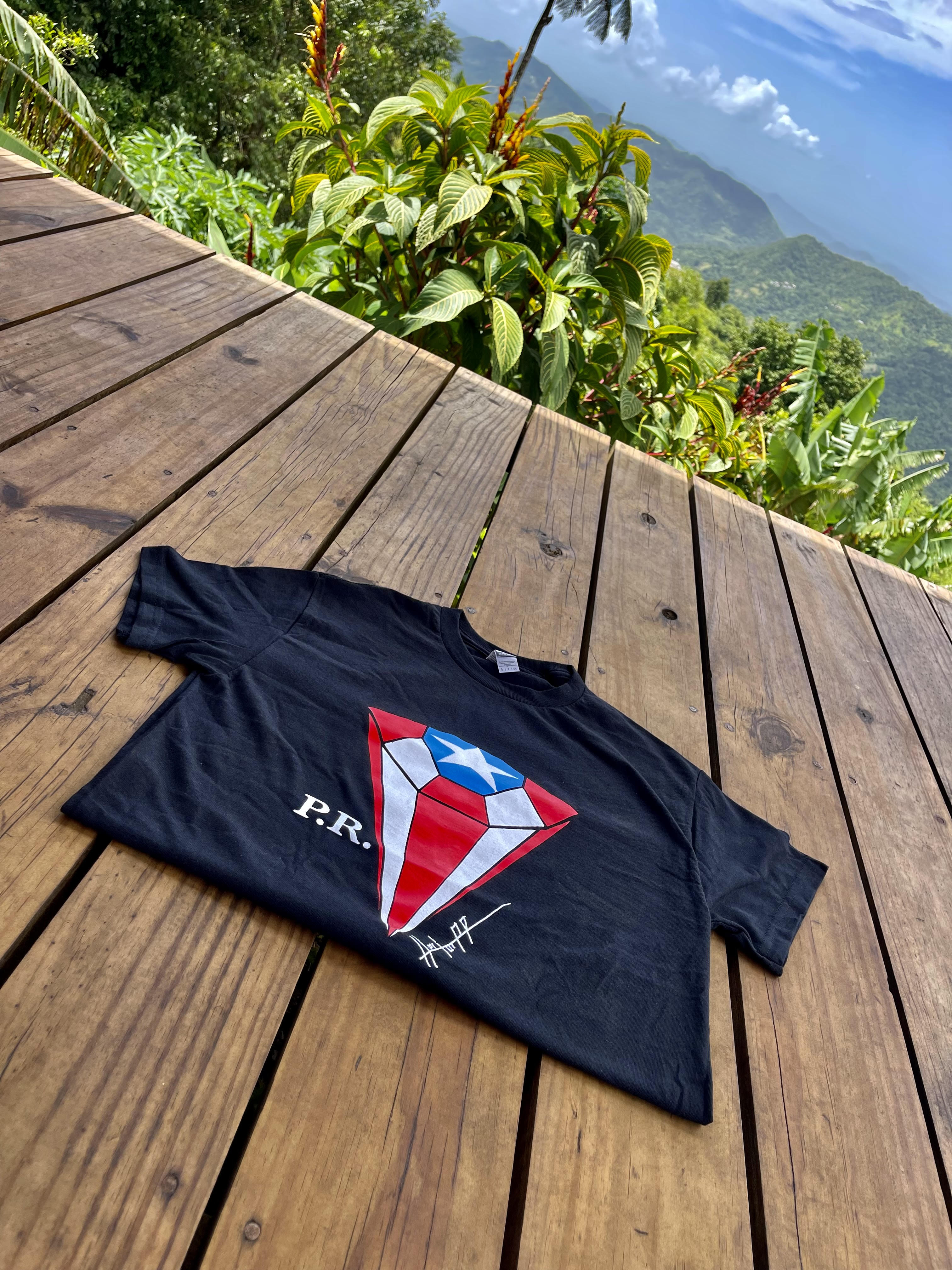 T-Shirt Oficial - 78 pueblos y 1 bandera – HectorPR